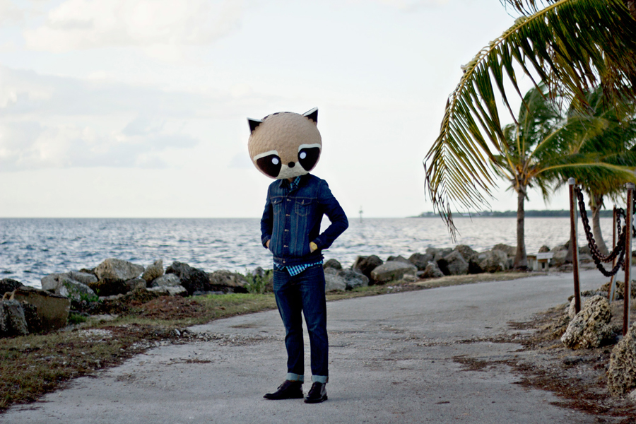 Introducing Dapper Animal Ollie Dapper Animals